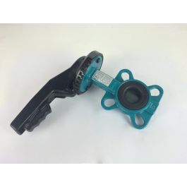 InterApp D10025.33 2AR.4A.4CH.VX Butterfly Valve DN25 PN16