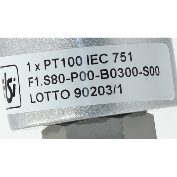 Elsi F1.S80-P00-B0300-S00 New NMP