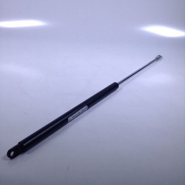 Vapsint 198.580.60 Gas Spring / Gas Damper NMP